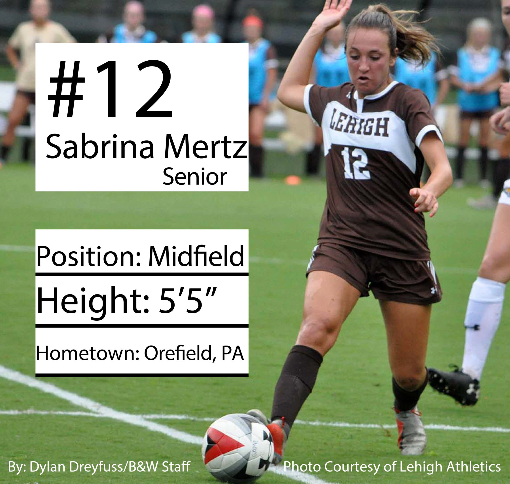 Must-see Mountain Hawk: Sabrina Mertz - The Brown and White