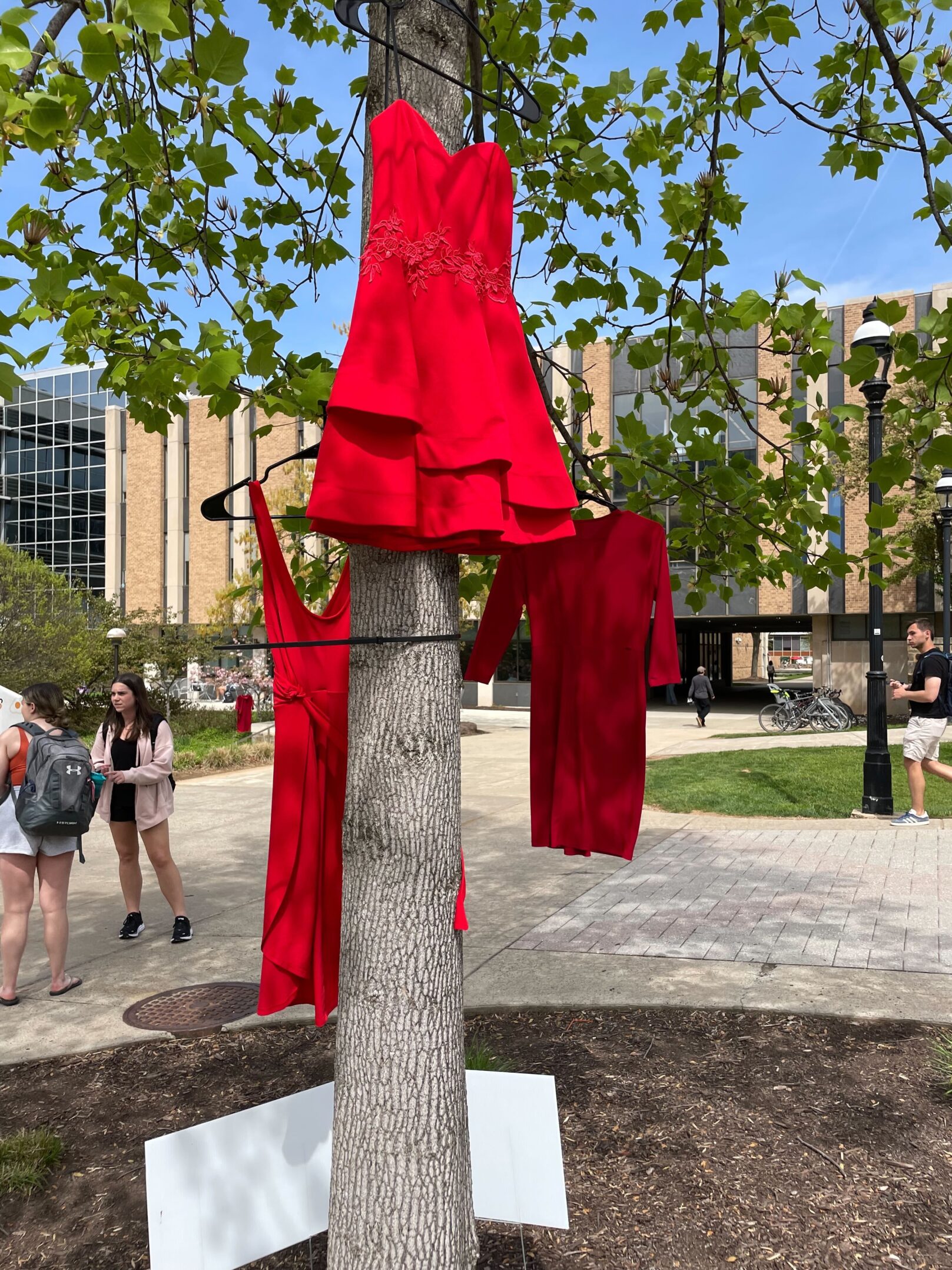 Lehigh hosts adaptation of REDress Project - The Brown and White